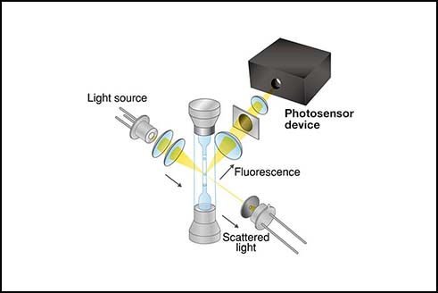 The WITS$ guide to selecting a photodetector | Hamamatsu Photonics